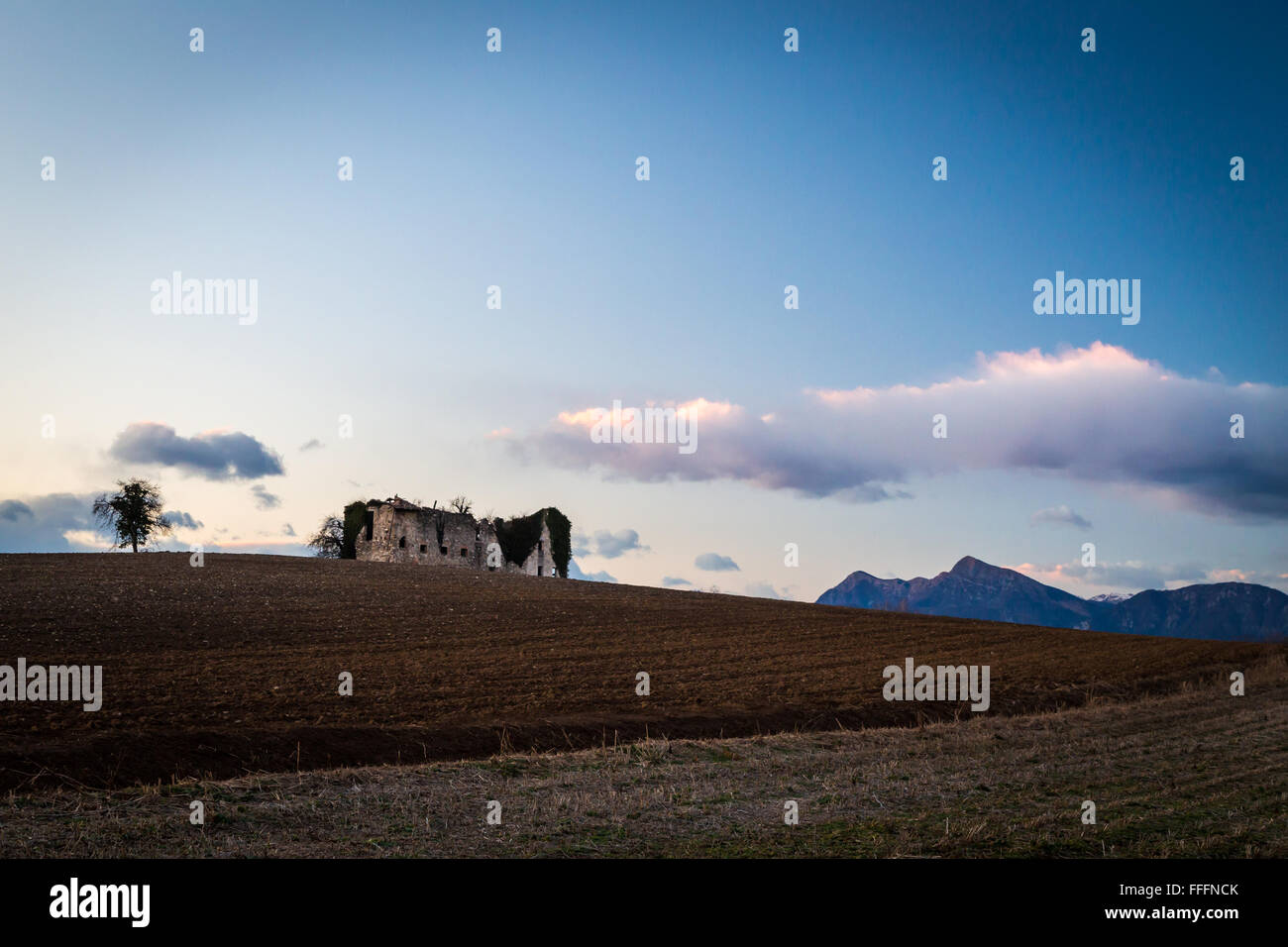 an abandoned and ruined farm in the fields of Italy Stock Photo - Alamy