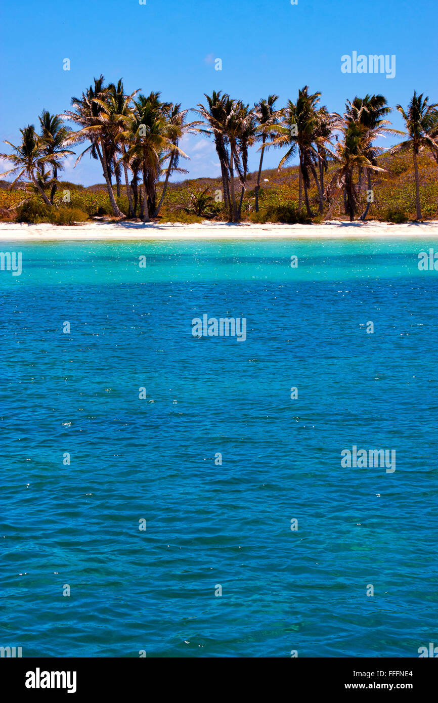 coastline and rock in the blue lagoon relax of isla contoy mexico Stock ...