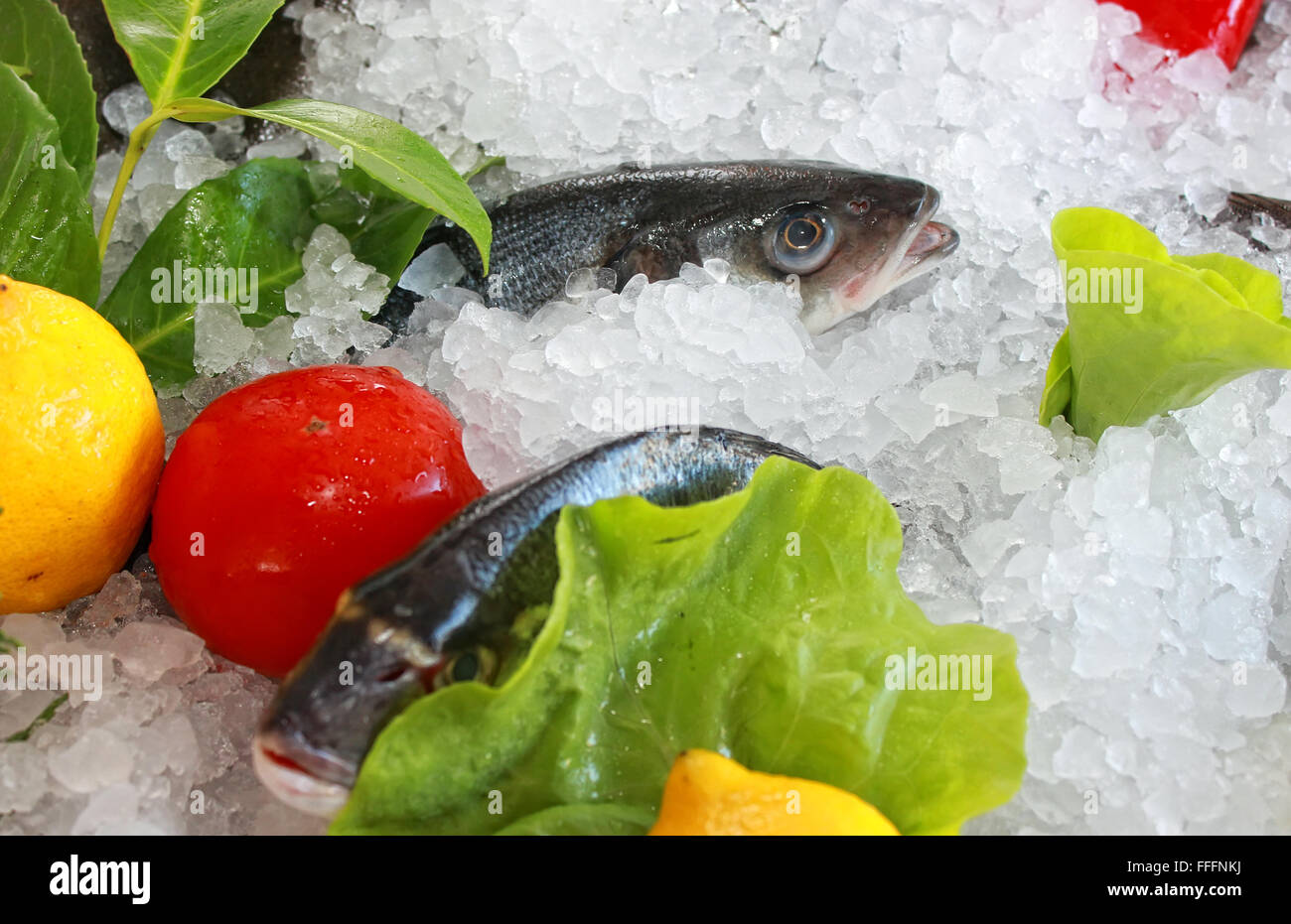 Fresh fish on the ice Stock Photo - Alamy