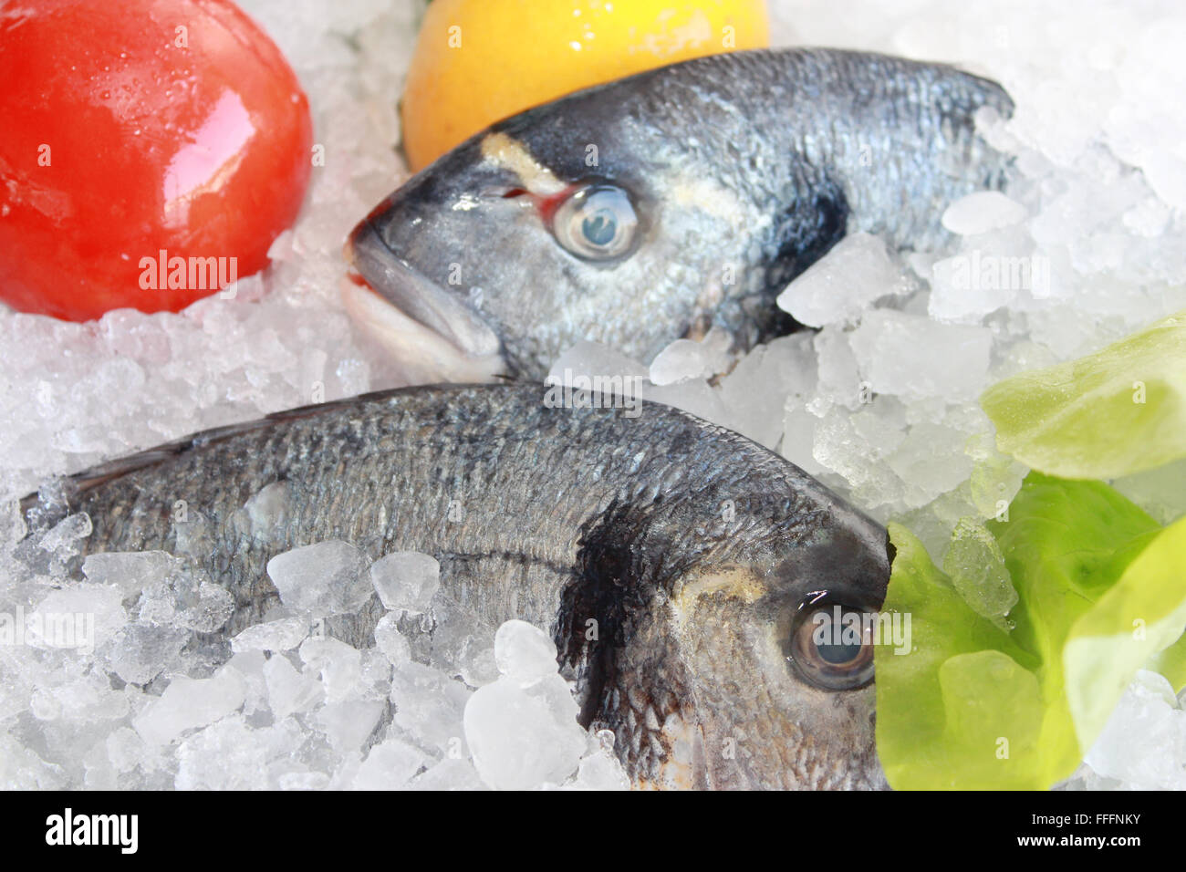 Fresh fish on the ice Stock Photo - Alamy