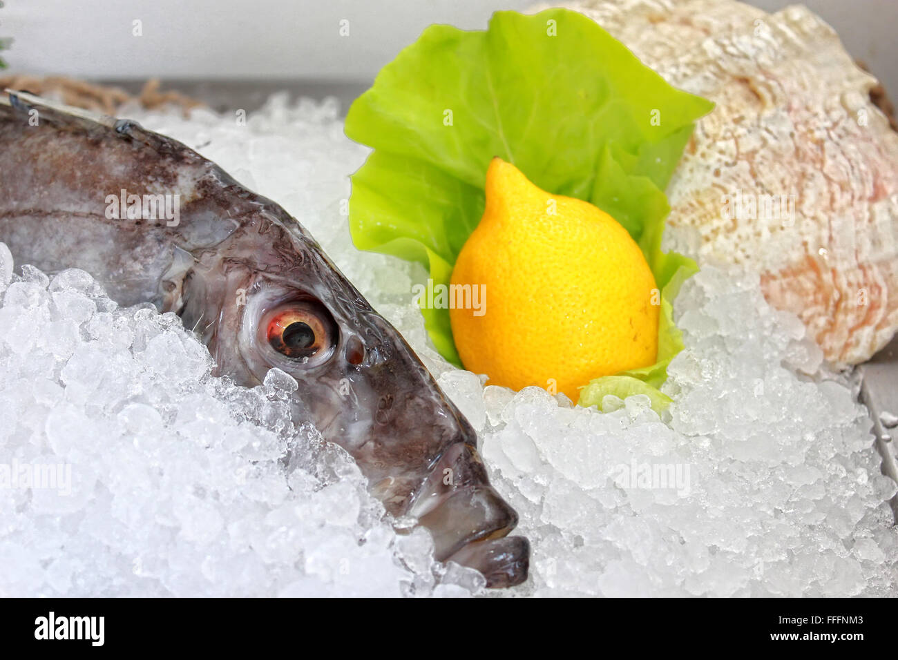 Fresh fish on the ice Stock Photo - Alamy
