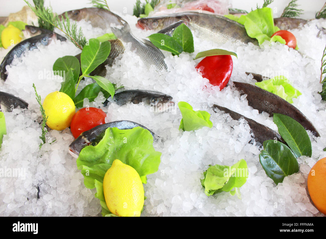 Fresh fish on the ice Stock Photo - Alamy