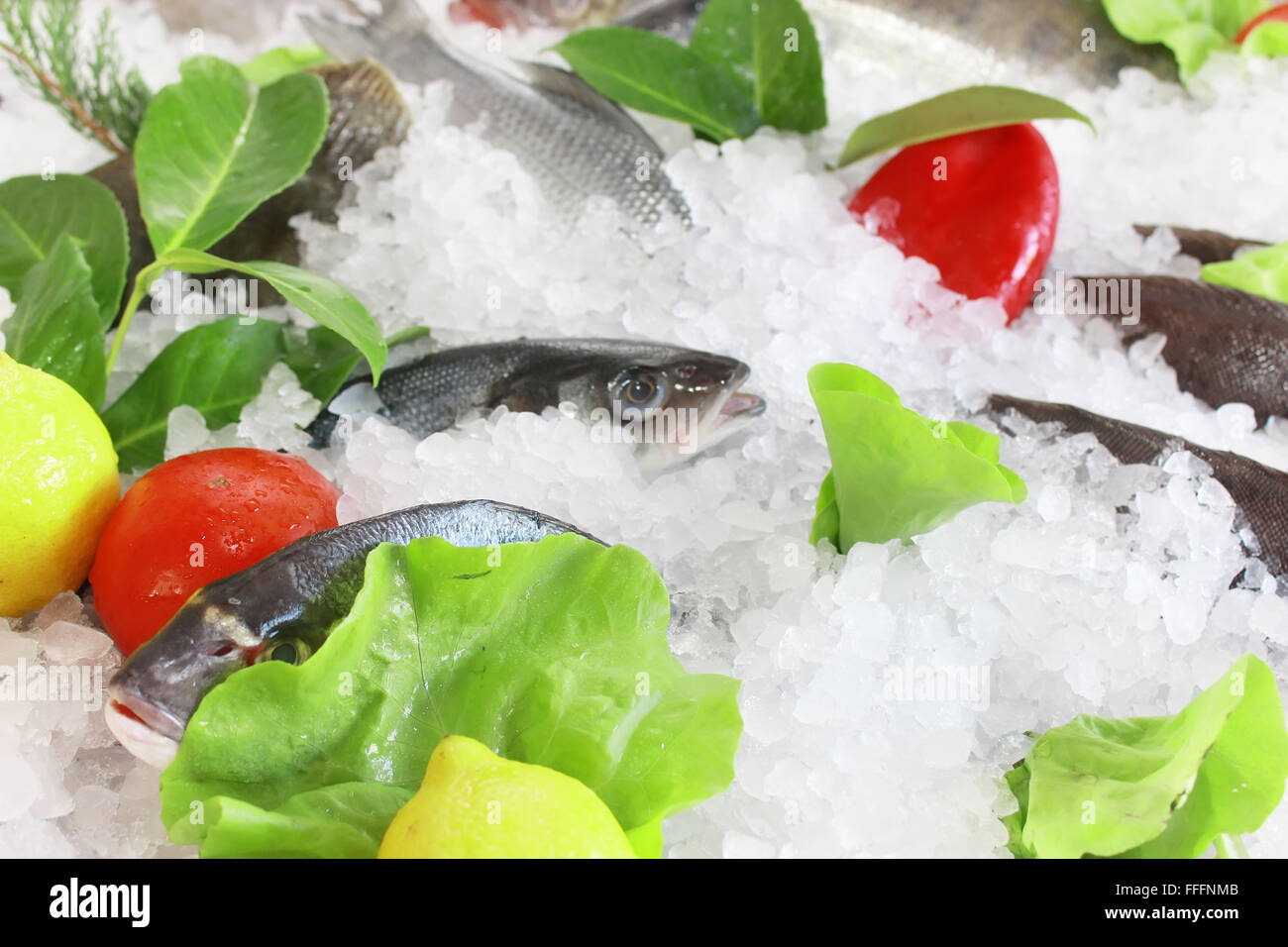 Fresh fish on the ice Stock Photo - Alamy