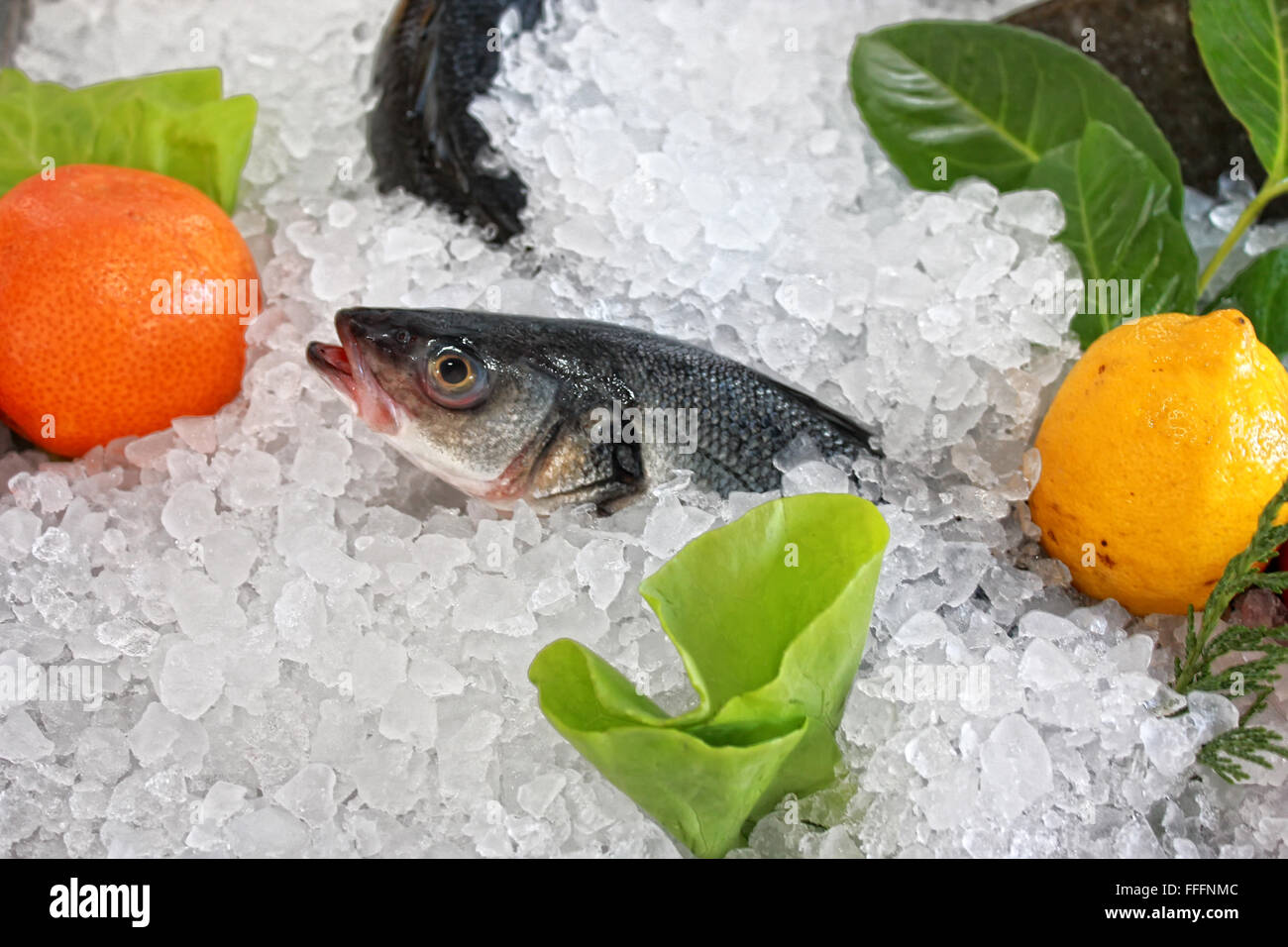 Fresh fish on the ice Stock Photo - Alamy
