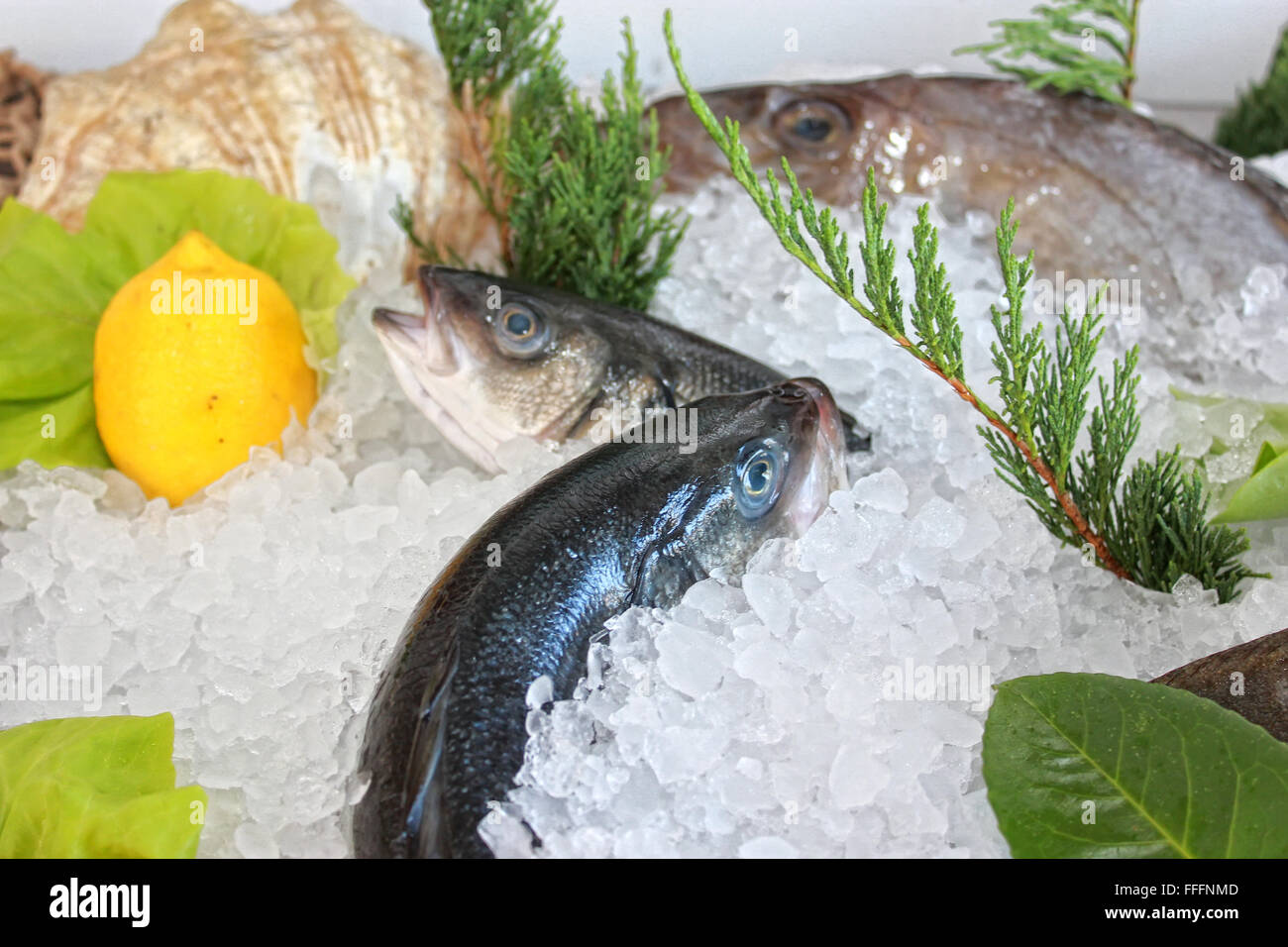 Fresh fish on the ice Stock Photo - Alamy