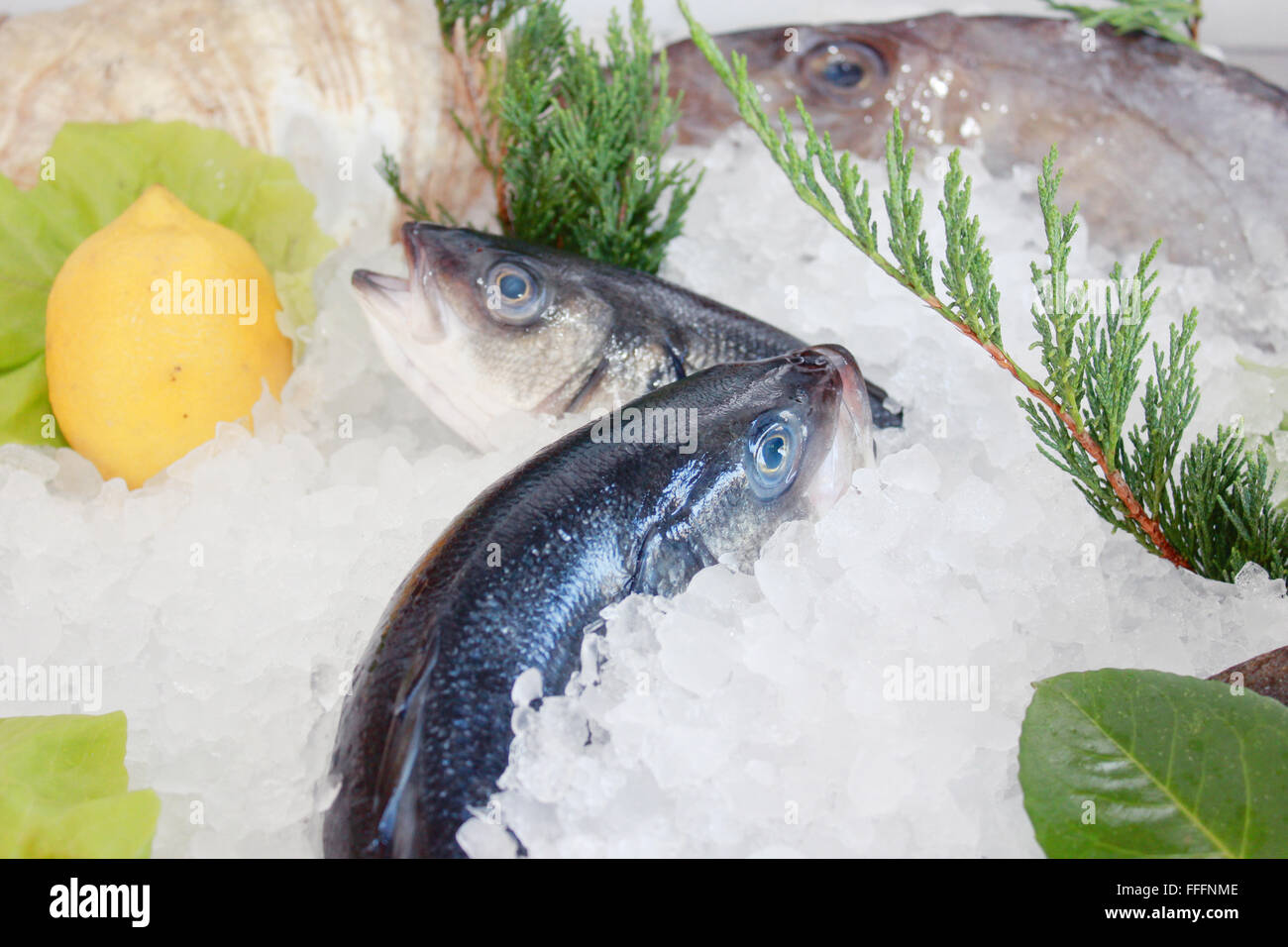 Fresh fish on the ice Stock Photo - Alamy