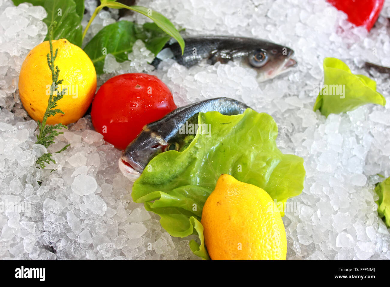 Group fresh little fishes hi-res stock photography and images - Alamy