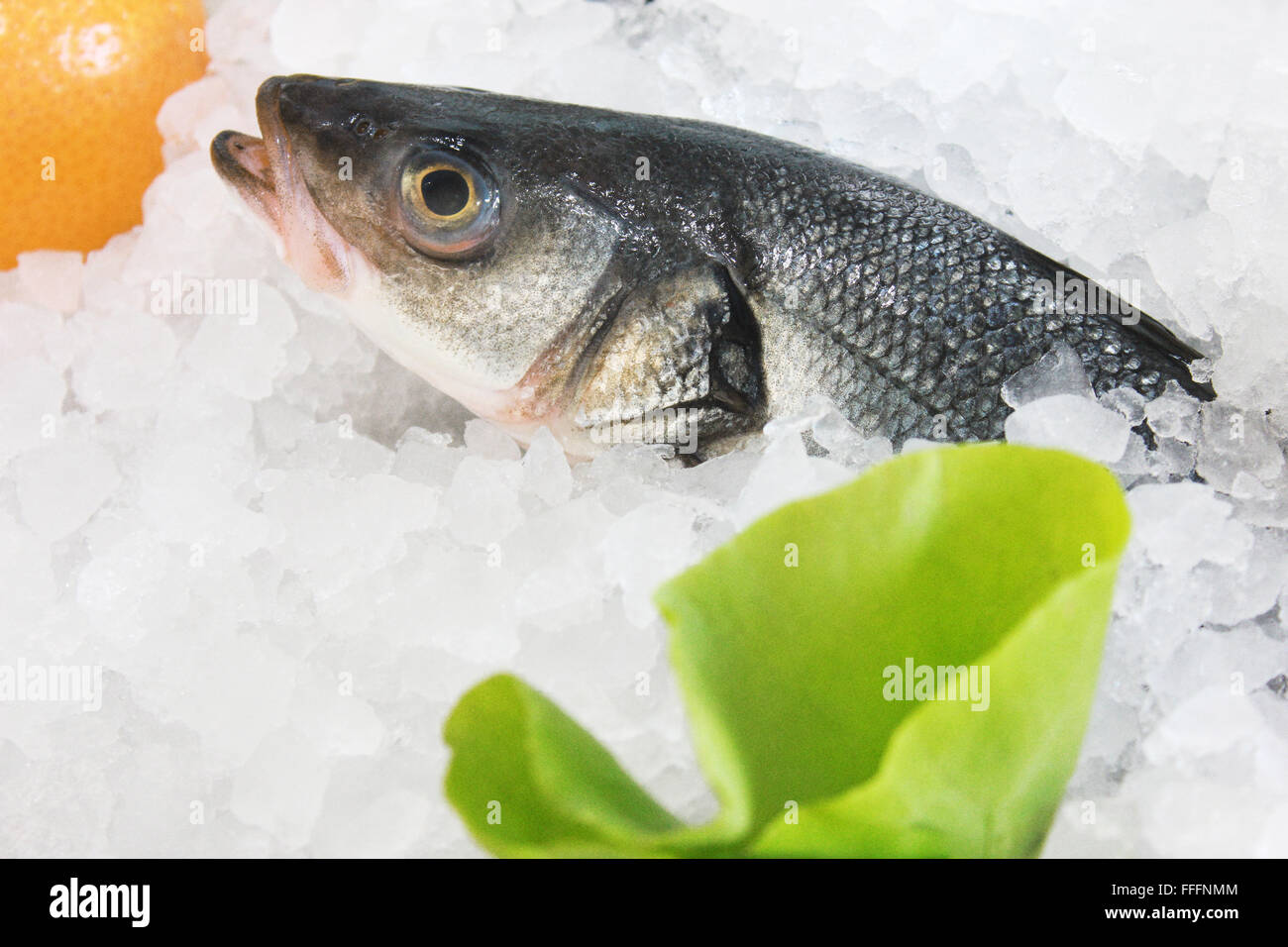 Fresh fishes and parsley on ice hi-res stock photography and images - Alamy