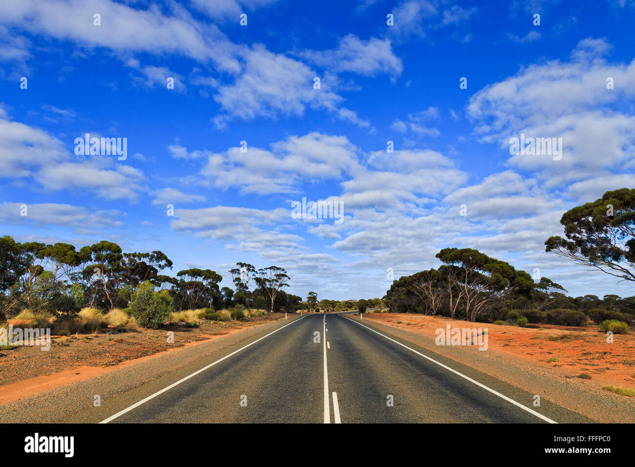 empty wide tarmac highway in Western Australia diminishing at the ...