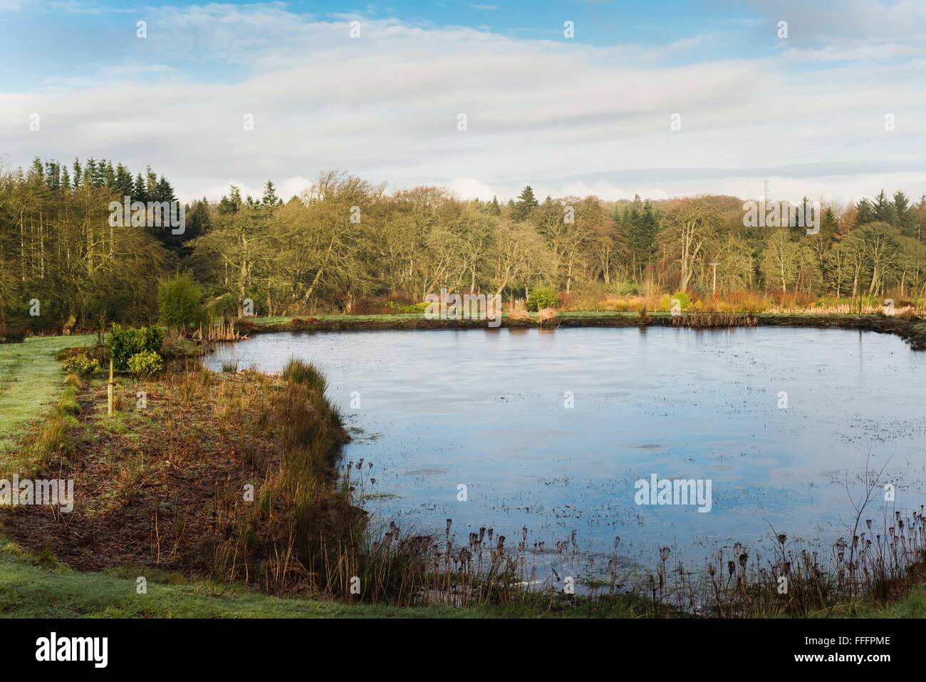 Rural pond in nature hi-res stock photography and images - Alamy