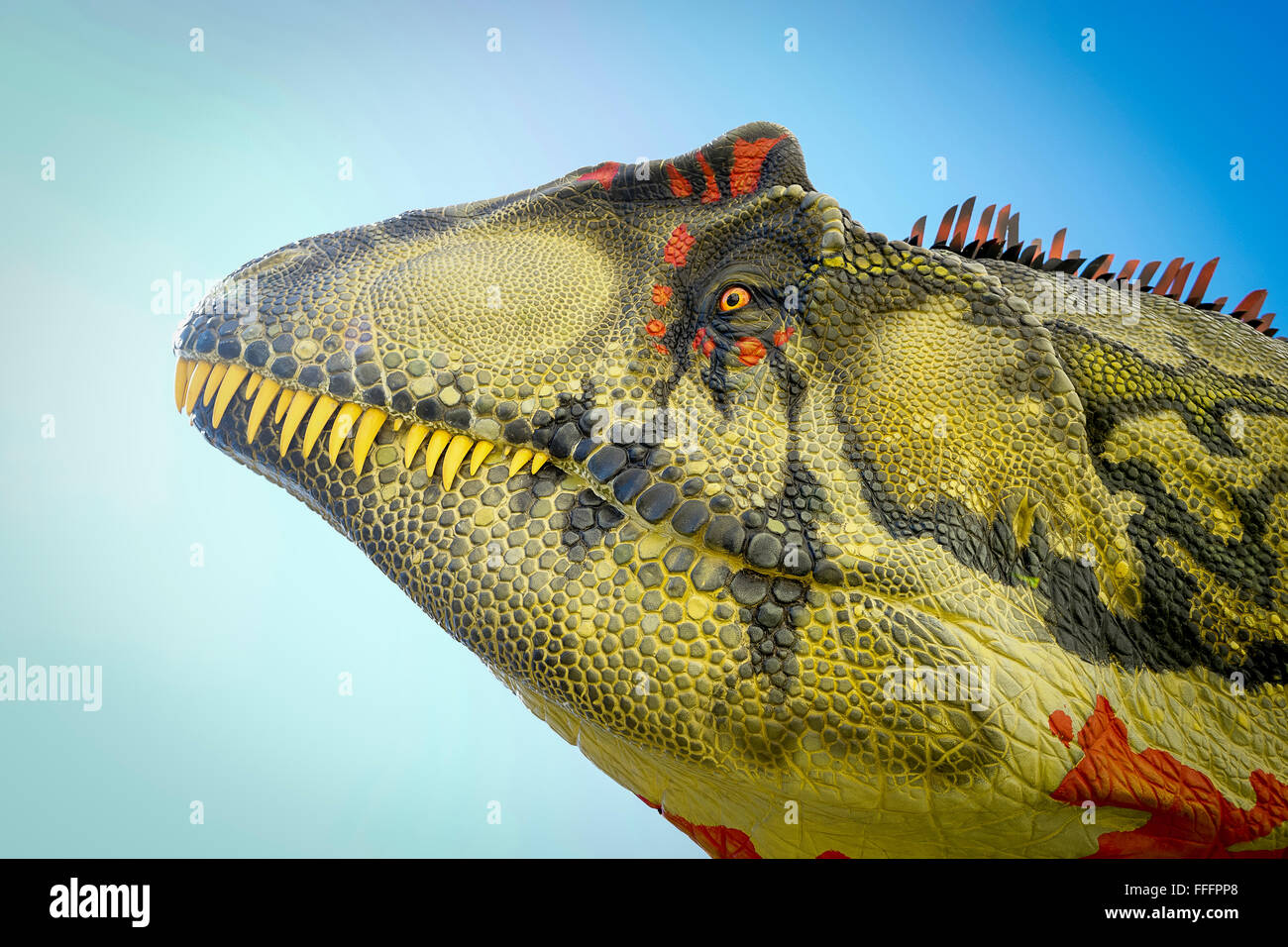 Dinosaur face hi-res stock photography and images - Alamy
