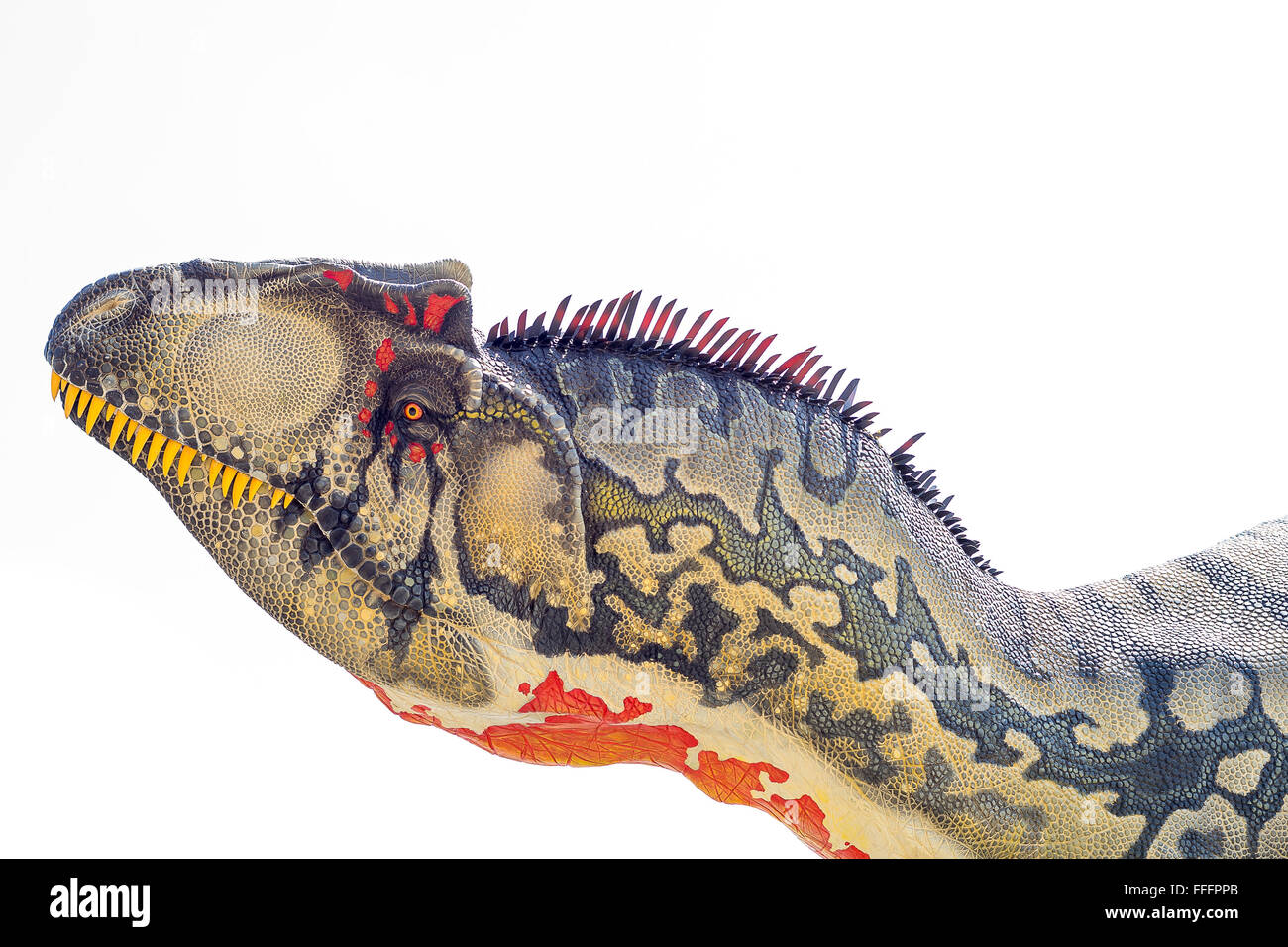 Dinosaur face hi-res stock photography and images - Alamy