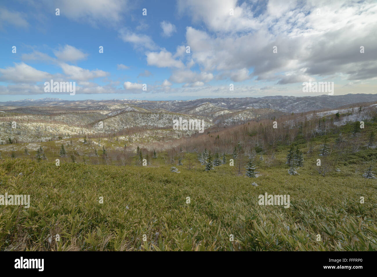 The hills in autumn, Sakhalin island, Russia Stock Photo - Alamy