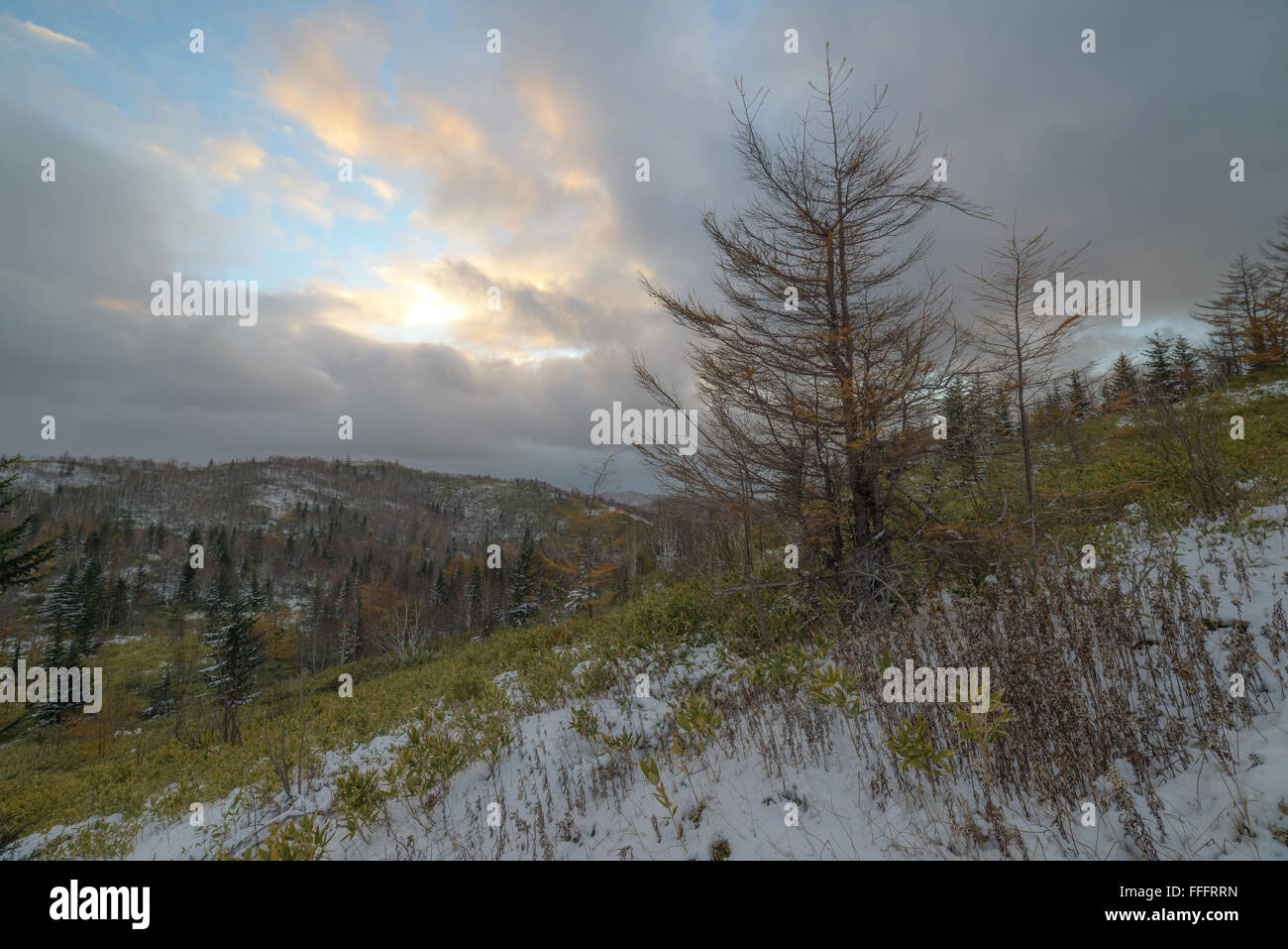 Gloomy sunset on the Hill, Sakhalin Island, Russia Stock Photo - Alamy