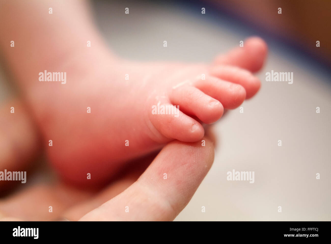 tiny baby toes Stock Photo - Alamy