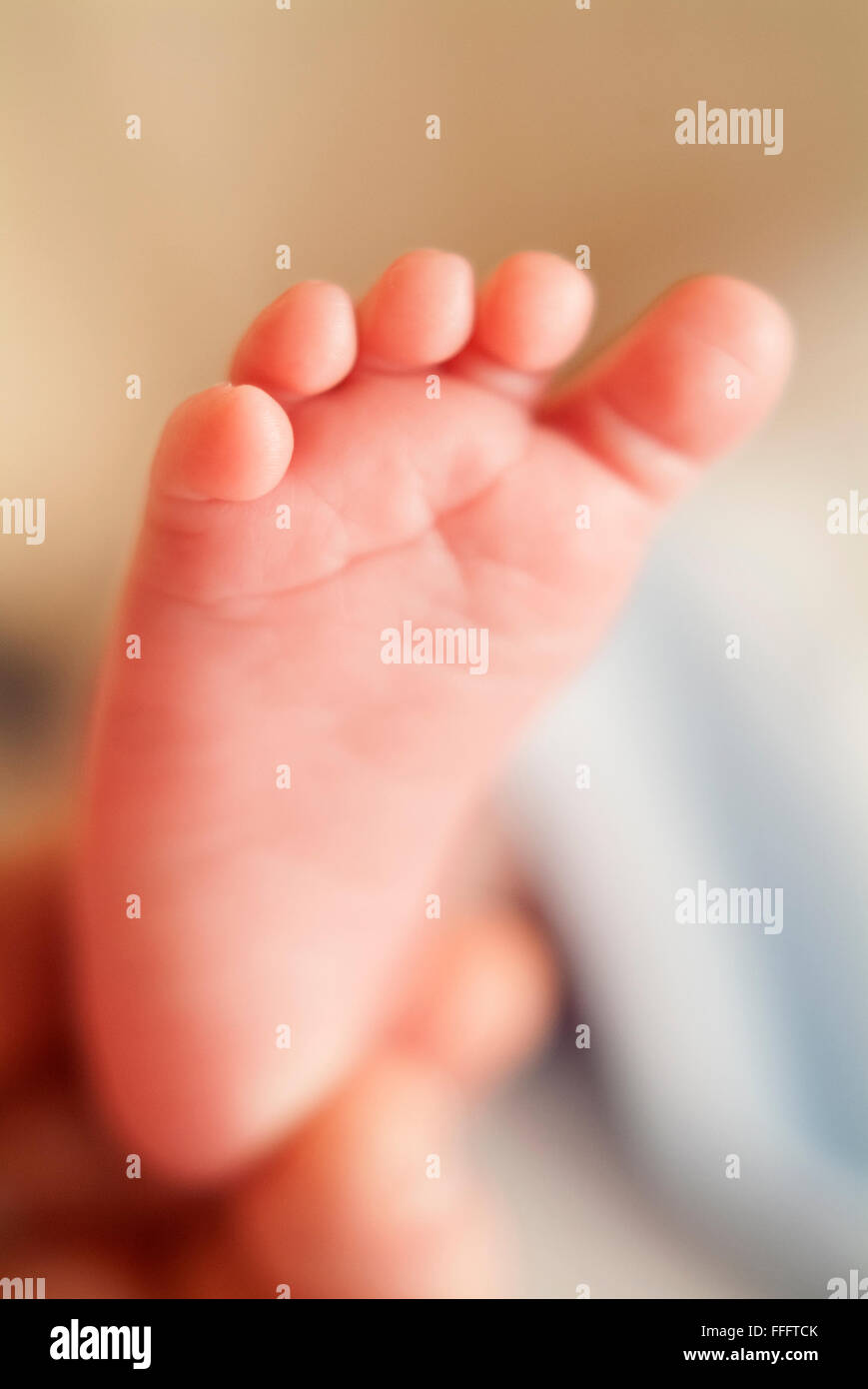 Baby tootsies hi-res stock photography and images - Alamy