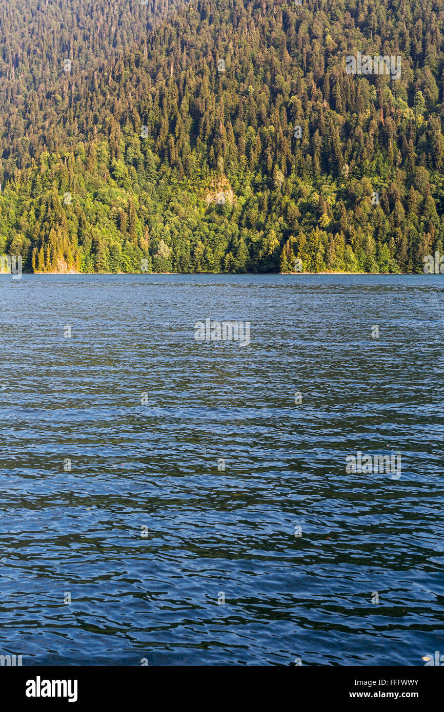 Mountain lake Ritsa, Abkhazia, Georgia Stock Photo - Alamy