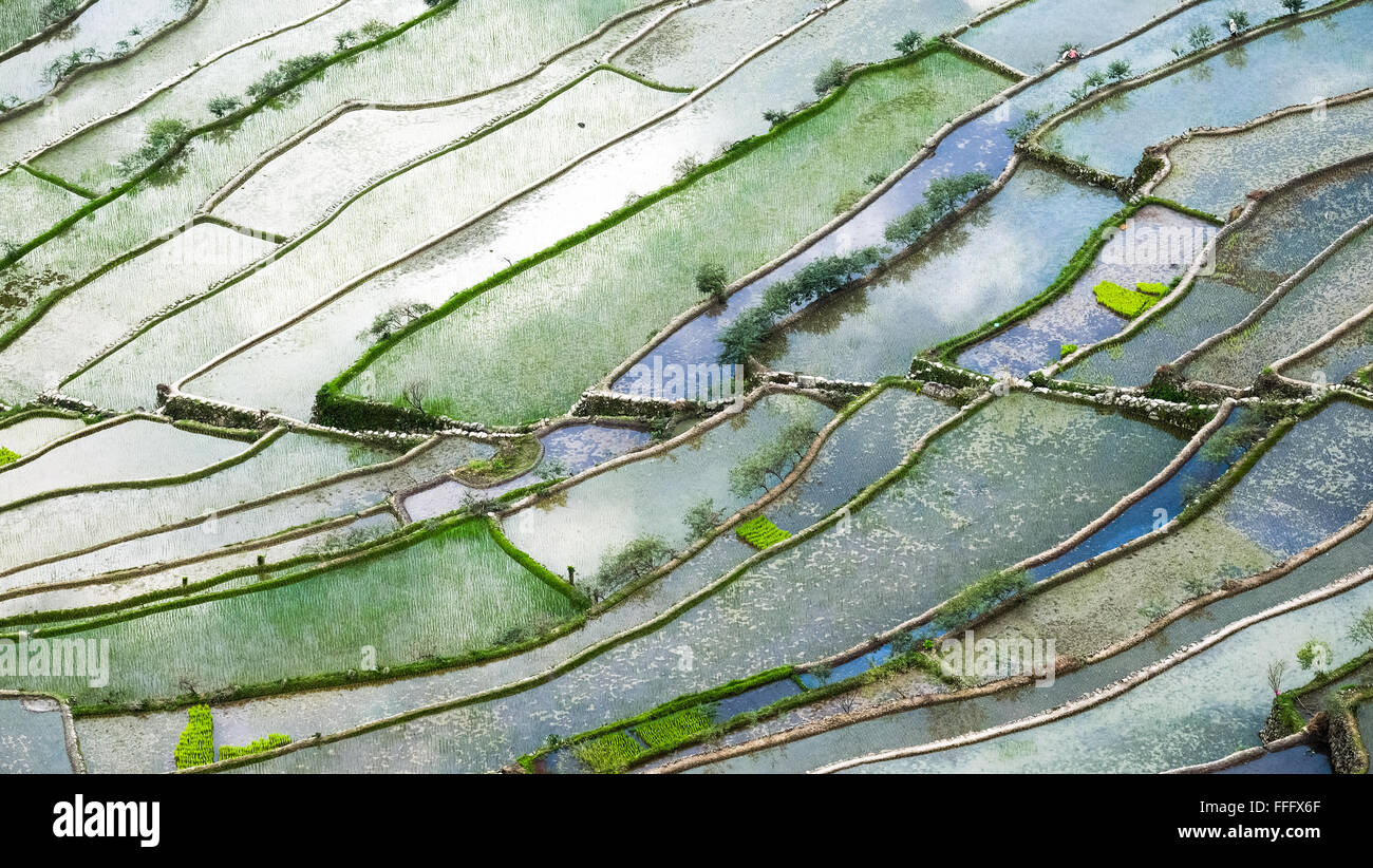 Amazing abstract texture of rice terraces fields with sky colorful ...