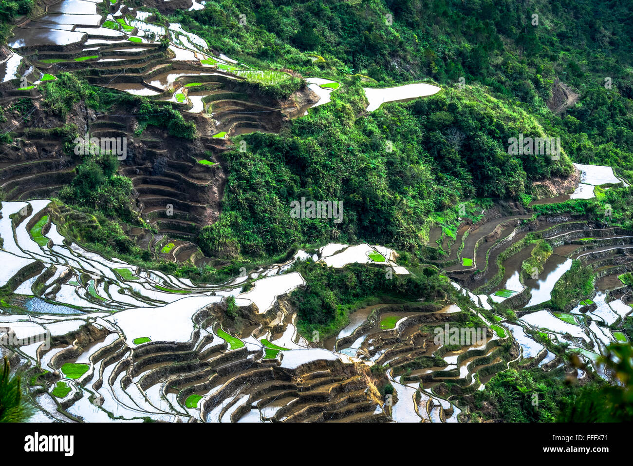 Amazing abstract texture of rice terraces fields with sky colorful ...