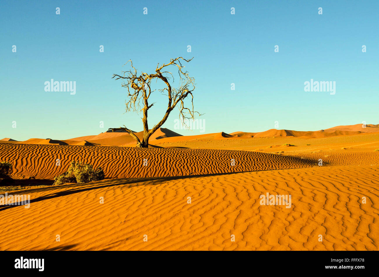 Landscape namib desert dunes hi-res stock photography and images - Alamy