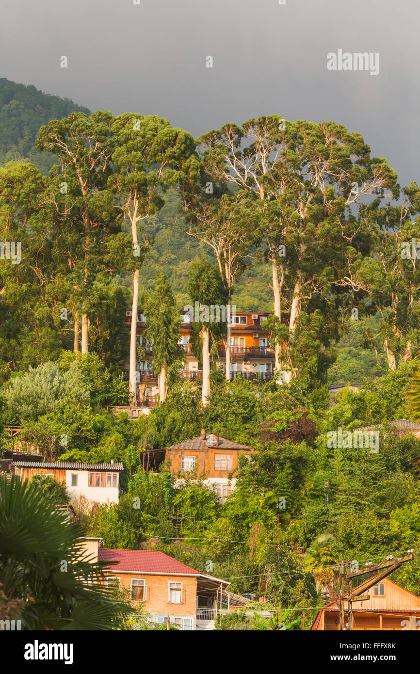 Gagra High Resolution Stock Photography and Images - Alamy