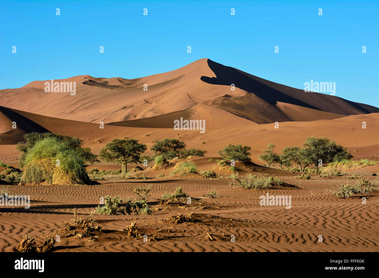 Desert landscape of the Namib desert Stock Photo - Alamy