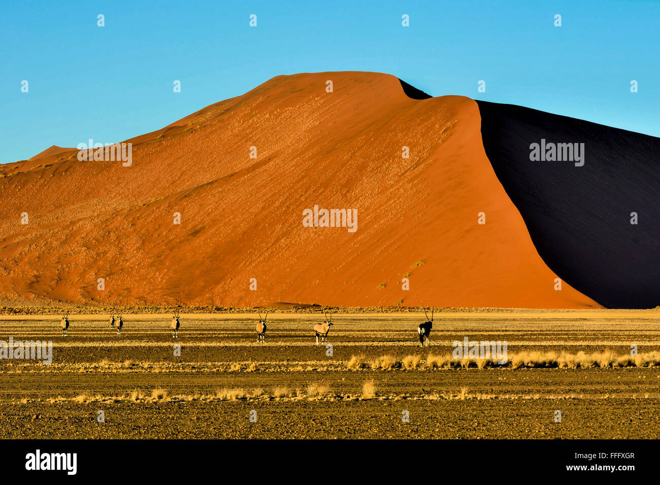 Namibian landscape hi-res stock photography and images - Alamy