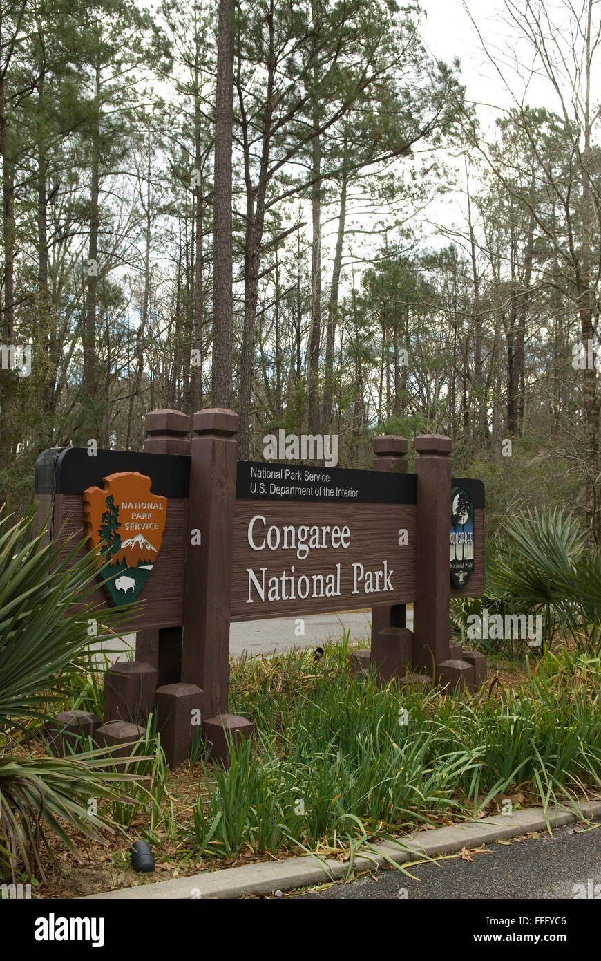Congaree National Park Hopkins South Carolina USA Stock Photo - Alamy