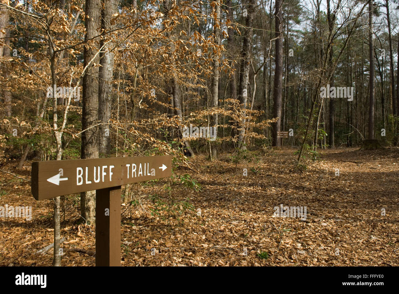 Congaree park boardwalk loop trail hi-res stock photography and images ...
