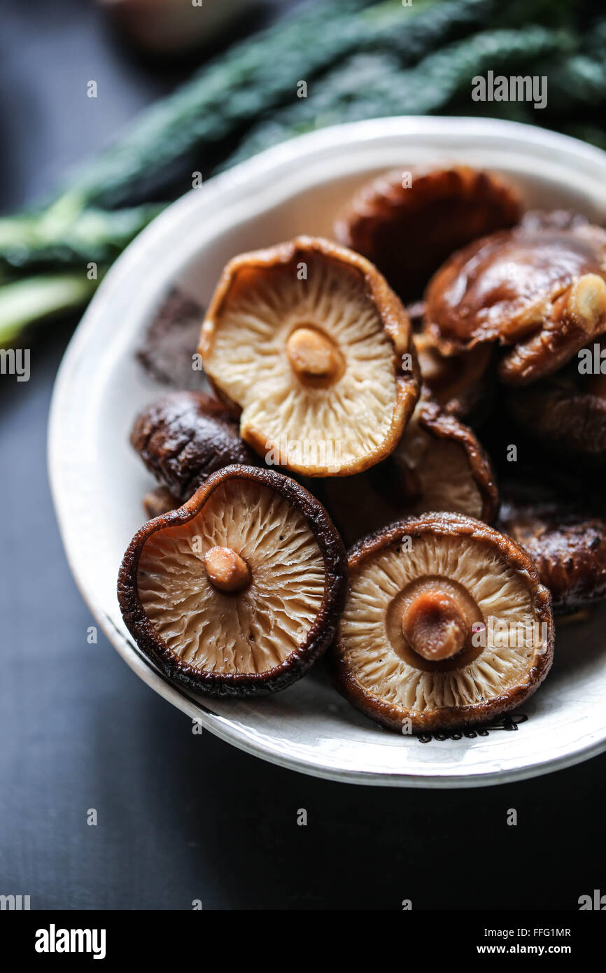 Background Mushroom High Resolution Stock Photography and Images - Alamy