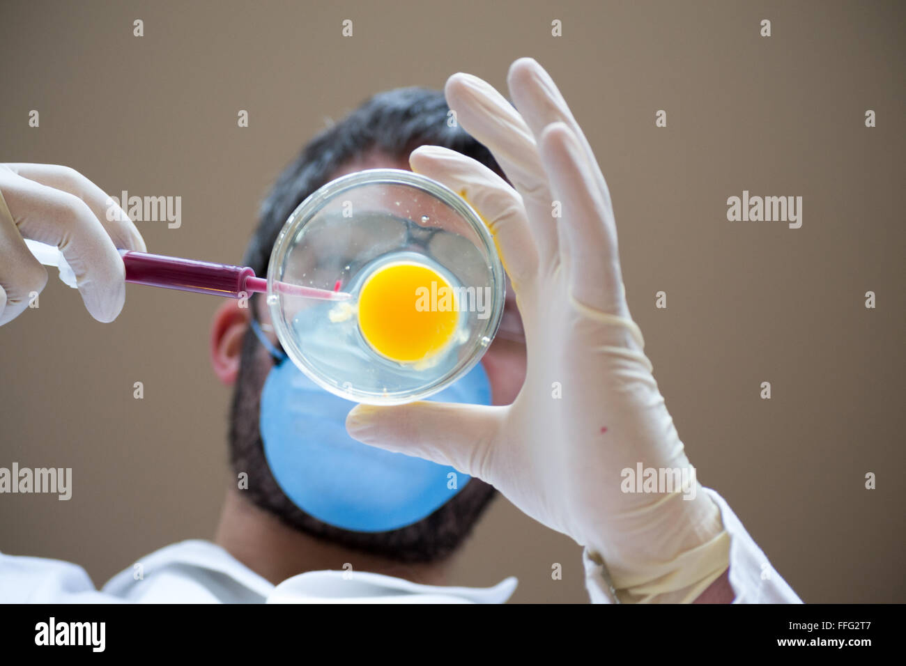 Gene editing egg hi-res stock photography and images - Alamy