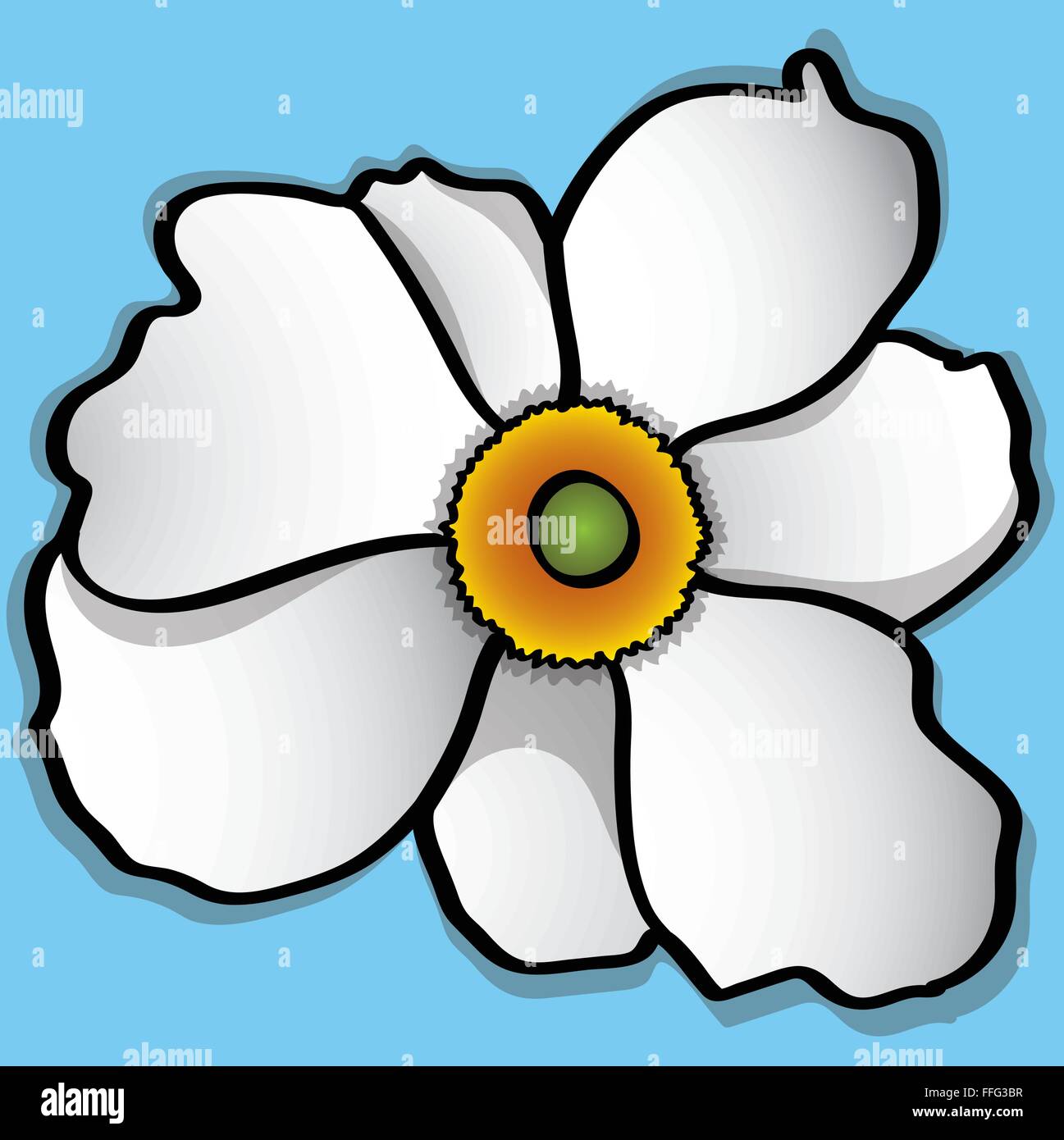 Yellow white spring narcissus Stock Vector Images - Alamy