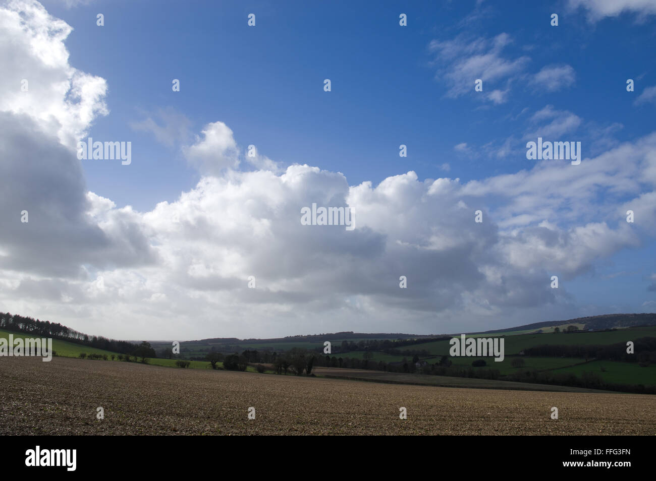 A view over fields near West Dean, West Sussex, England Stock Photo - Alamy