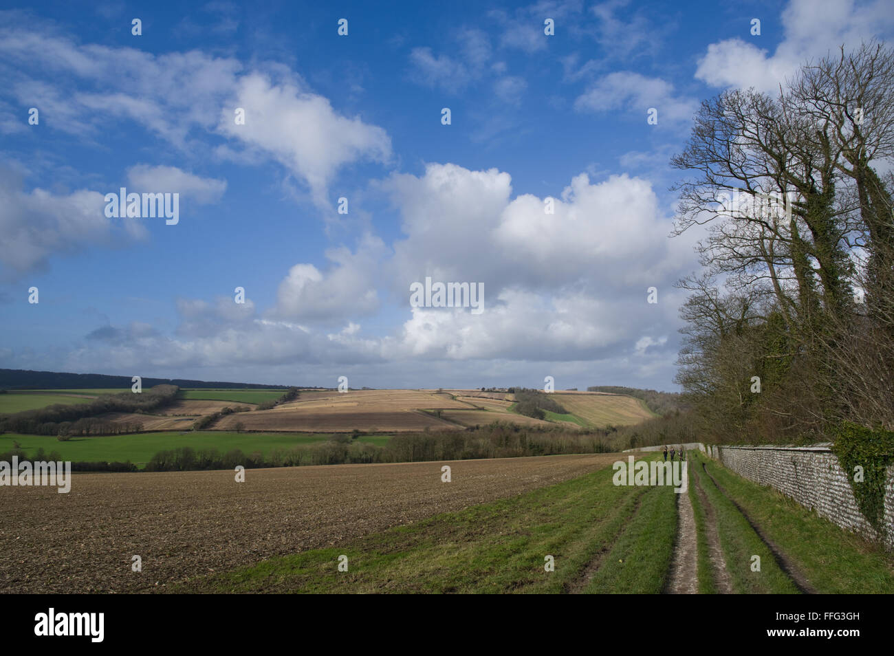 A view over fields near West Dean, West Sussex, England Stock Photo - Alamy