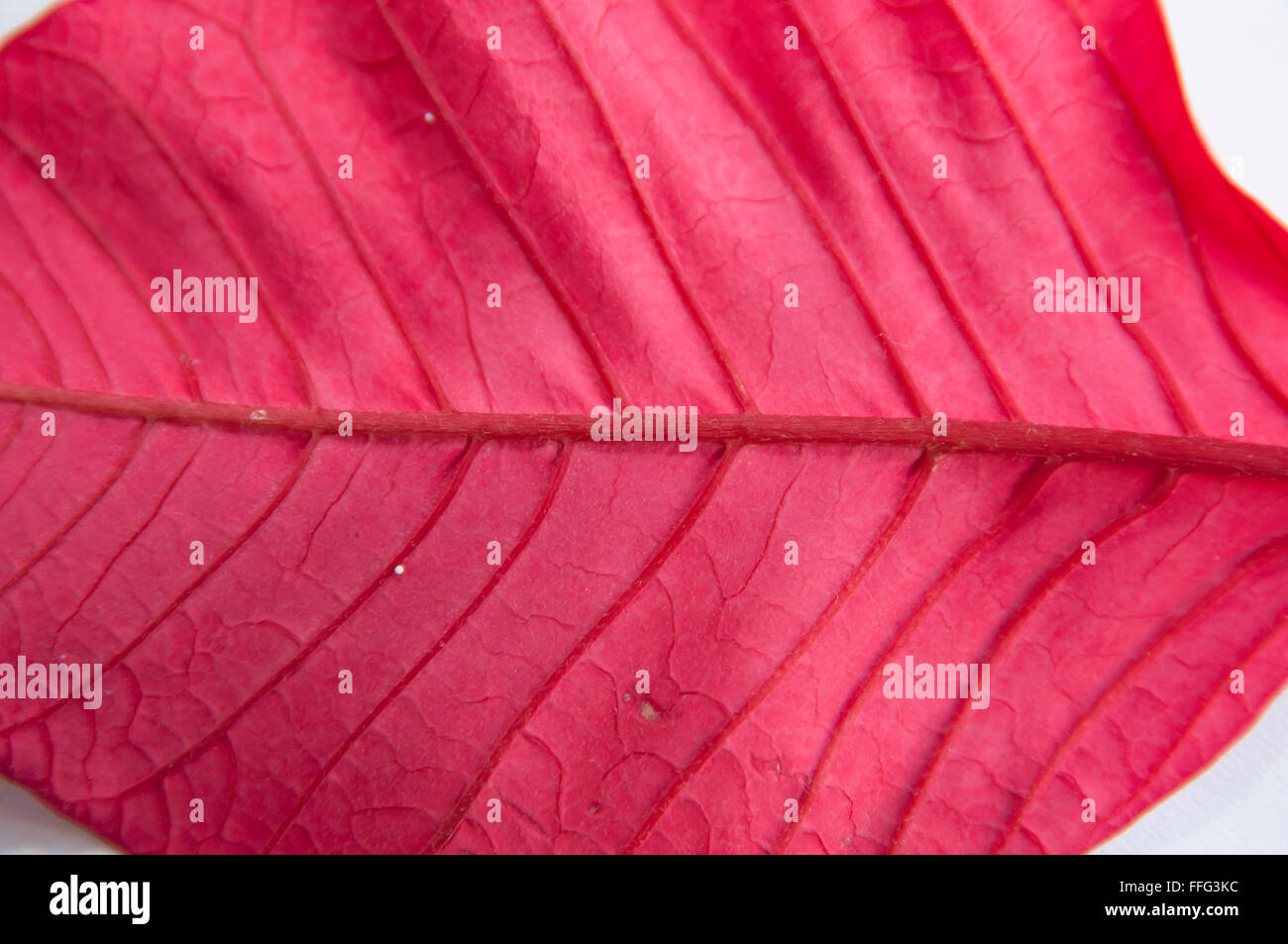 Water lines hi-res stock photography and images - Alamy