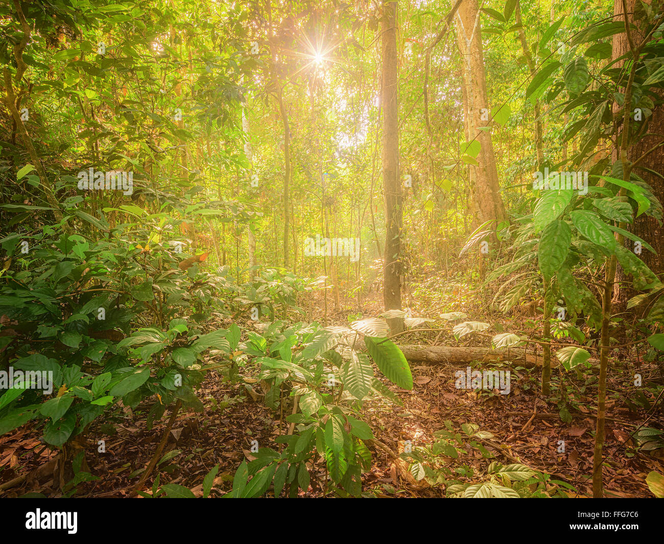 Beautiful landscape of mountain at sunset, Chiang Mai,Thailand Stock ...