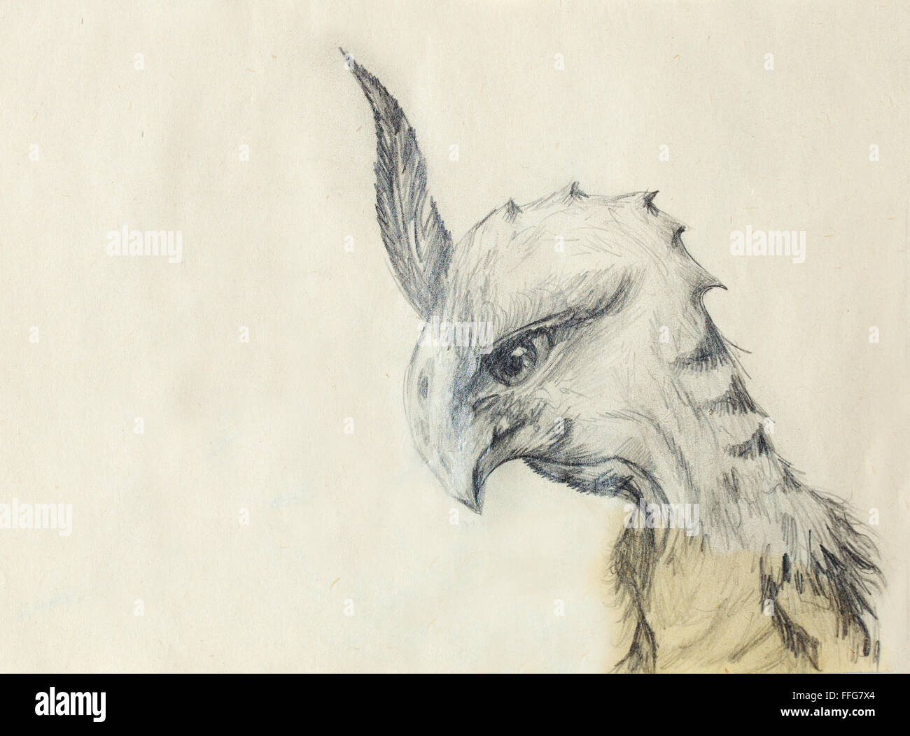 chicken dragon on old paper background. ocre color Stock Photo - Alamy