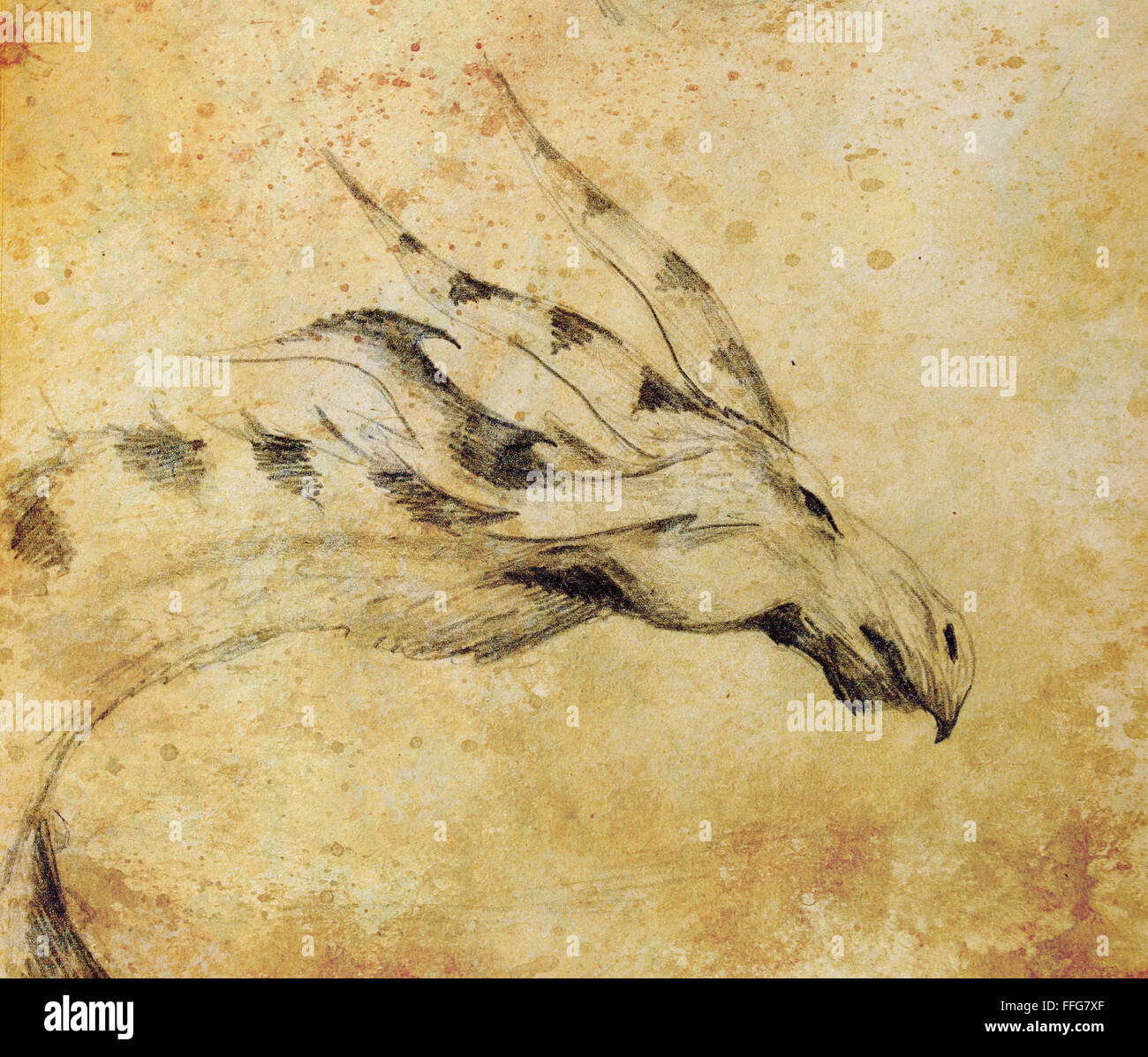 pencil drawing dragon on old paper background Stock Photo - Alamy