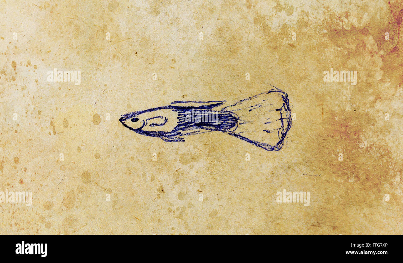 Pencil drawing aquarium fish on hi-res stock photography and images - Alamy