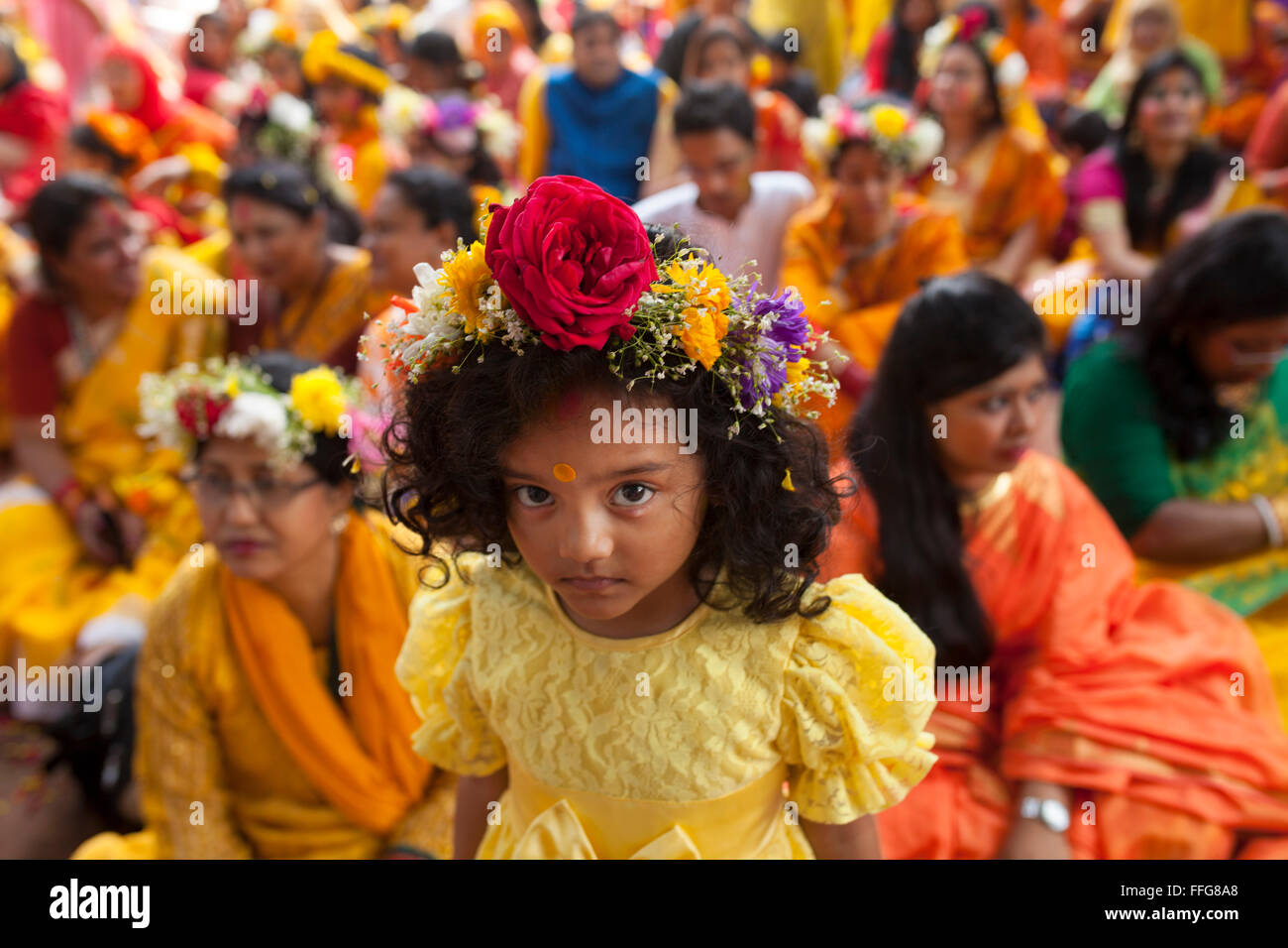 Yellow flower in dhaka bangladesh hi-res stock photography and images ...