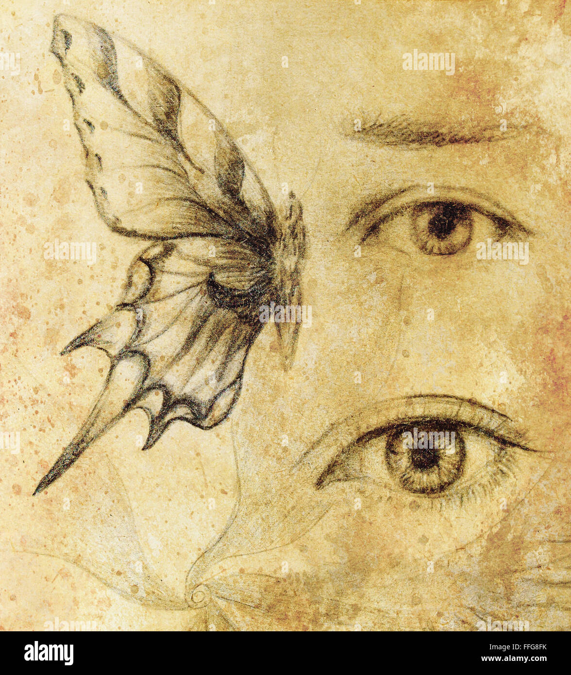 Vintage Butterfly Drawing