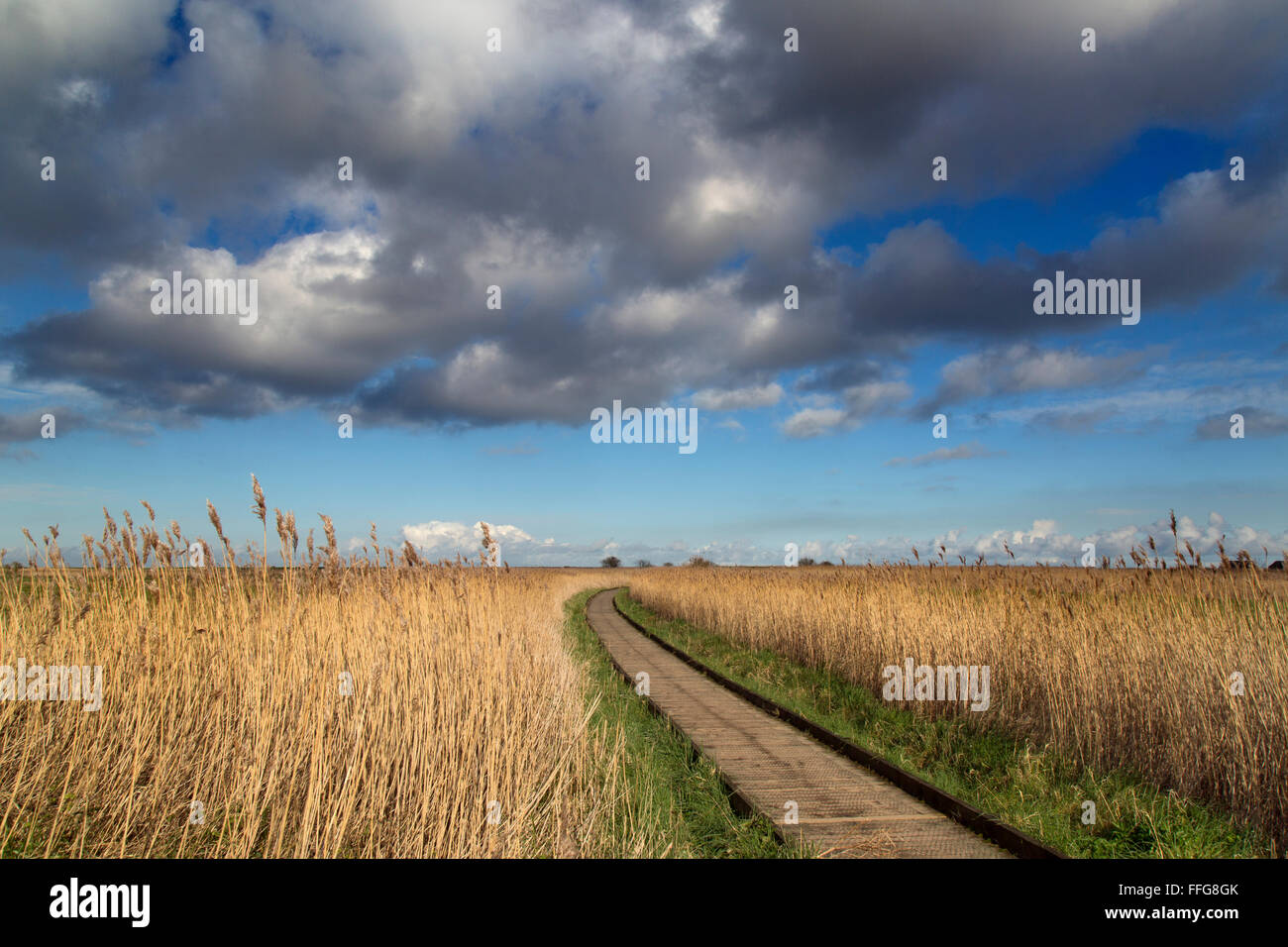 Cley Marshes Nature Reserve on the North Norfolk coast Stock Photo - Alamy