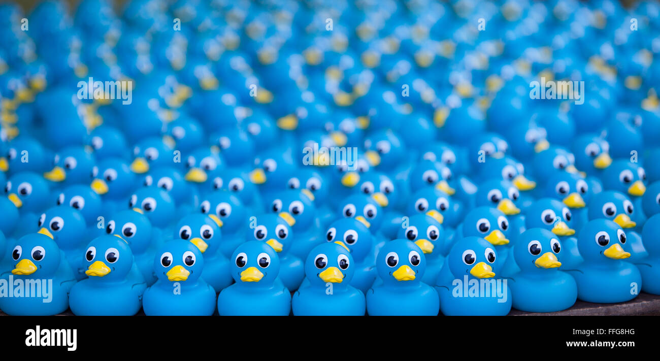 Ordered collection of blue rubber ducks. Circle, crowd, facing the same ...