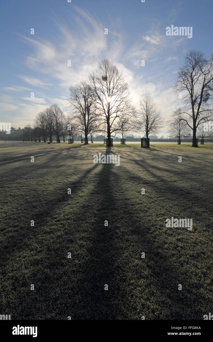 Cold misty morning in Bushy Park, London, UK Stock Photo - Alamy