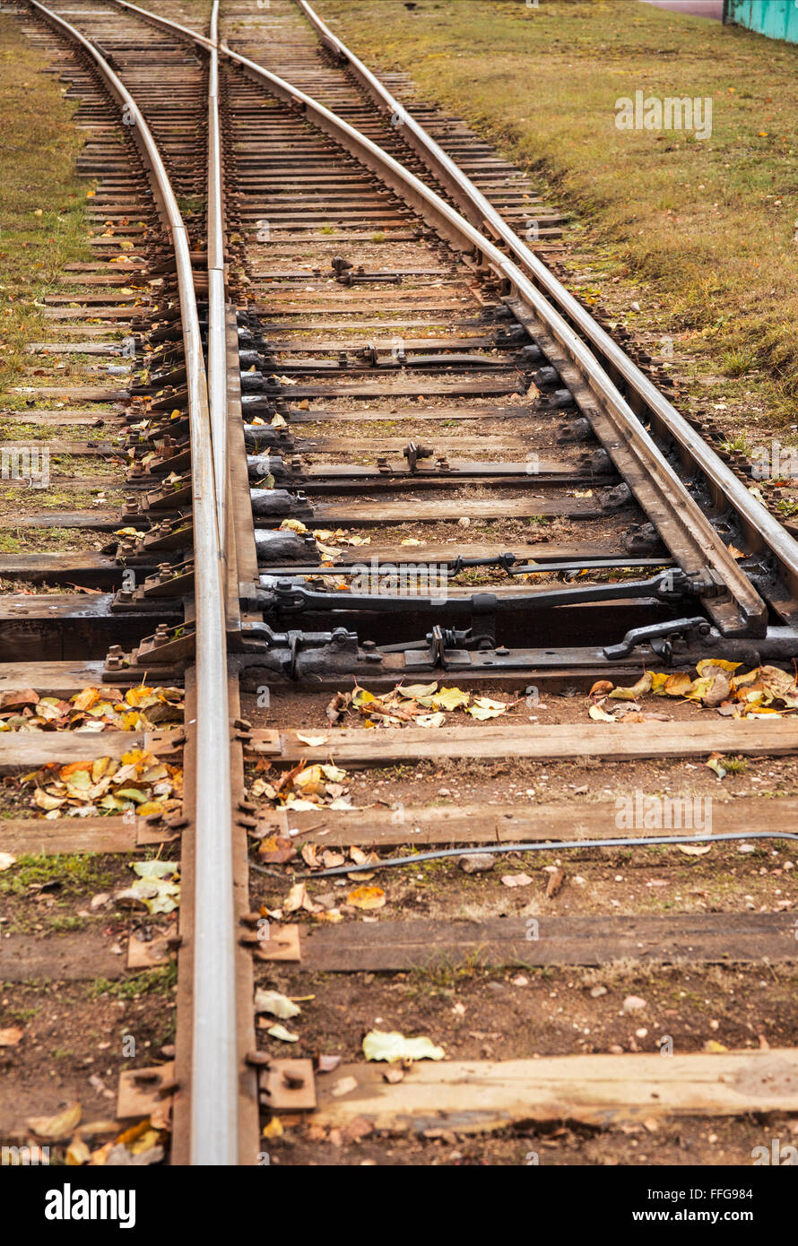 Line of railway crossing Stock Photo - Alamy