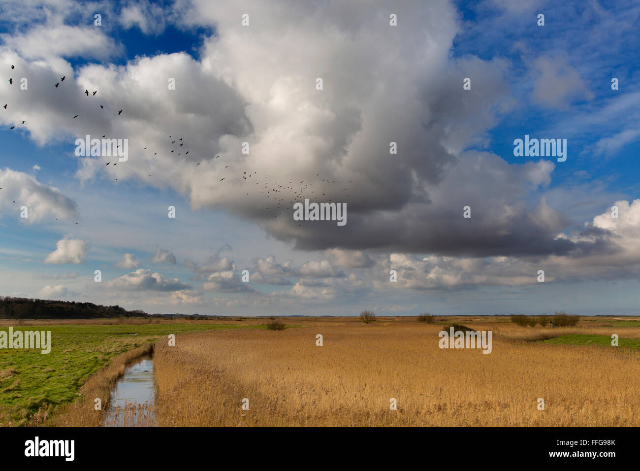 Cley Marshes Nature Reserve on the North Norfolk coast Stock Photo - Alamy Cley Marshes Nature Reserve on the North Norfolk coast Stock Photo - Alamy