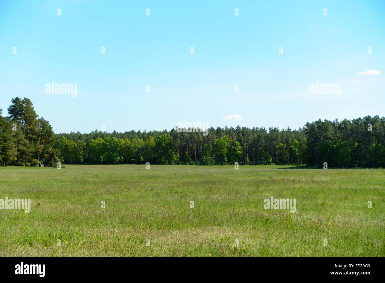 View of the countryside near Berlin, Germany in summer Stock Photo - Alamy