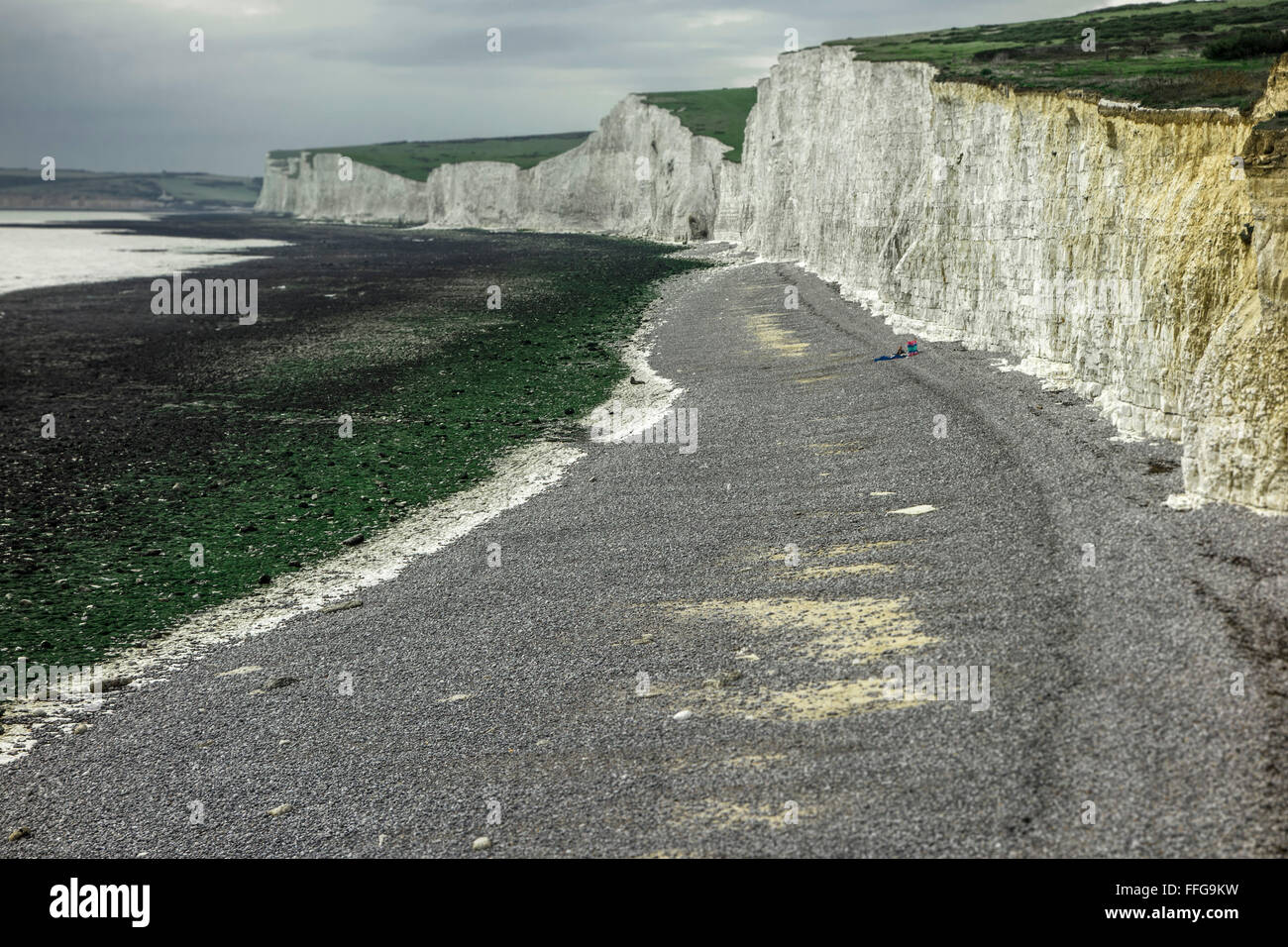 Birling Gap and Seven Sisters chalk cliffs South Downs National Park ...