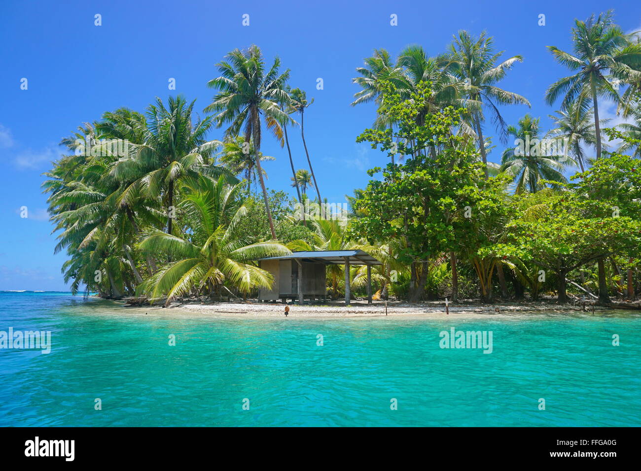 A small hut with tropical vegetation on the shore of an islet, Huahine ...
