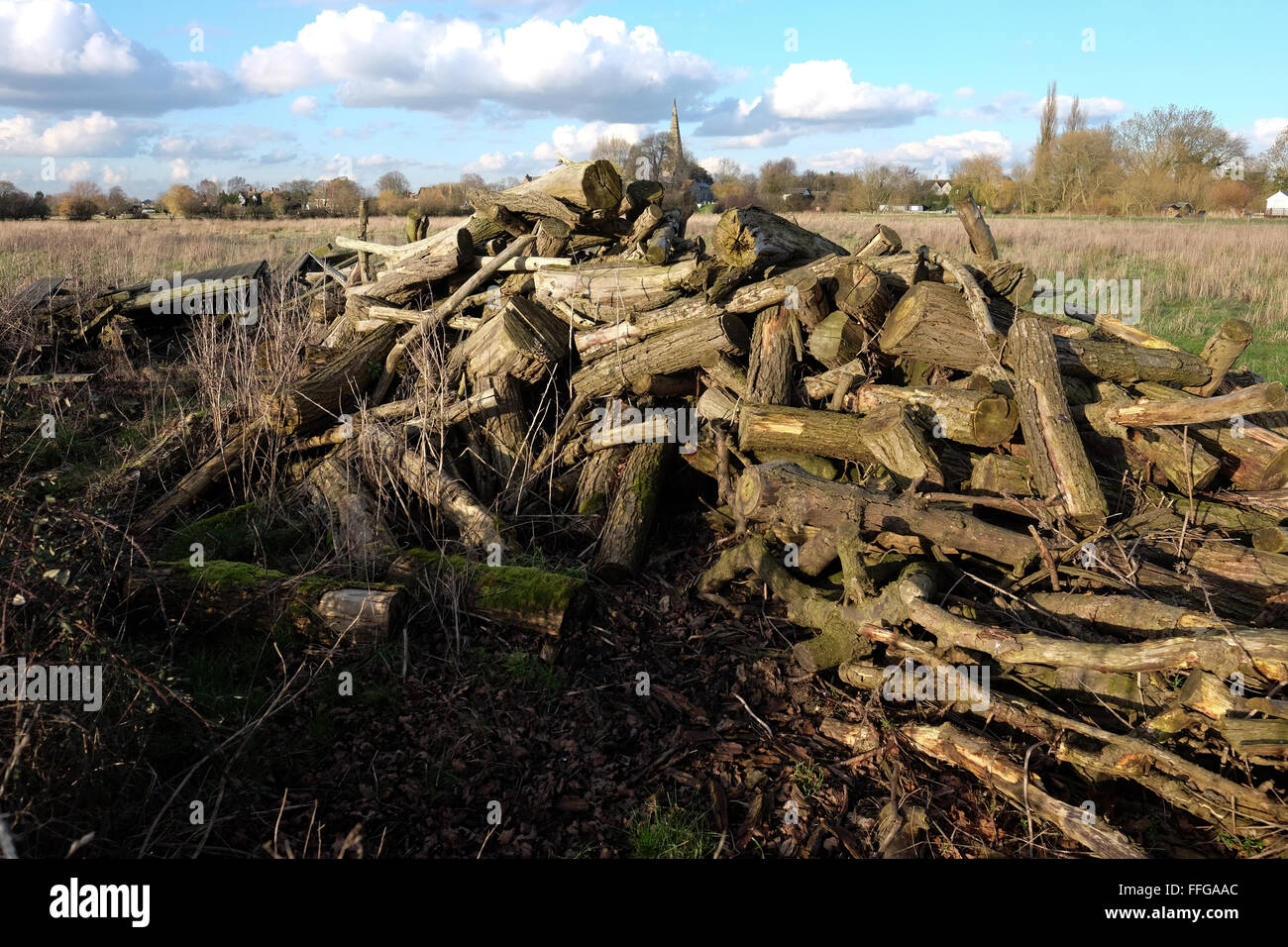 Big log hi-res stock photography and images - Alamy